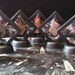 Dinosaur Bone in Display Case - Etsy UK