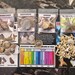 Fossil Starter Collection - Etsy UK