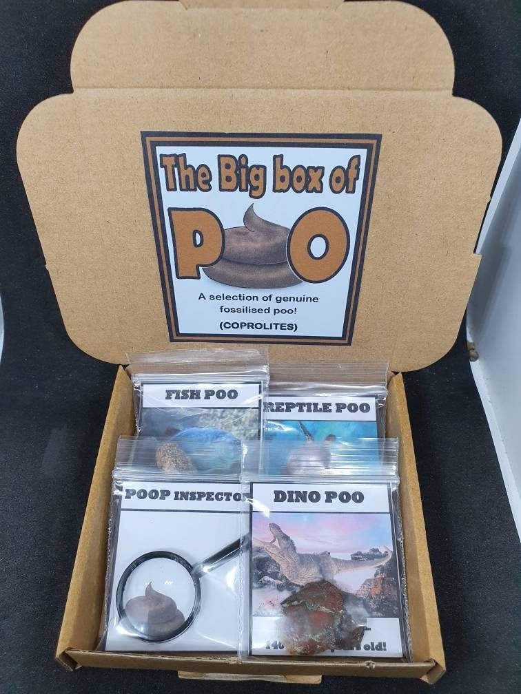 The Big Box Of Poo | Etsy