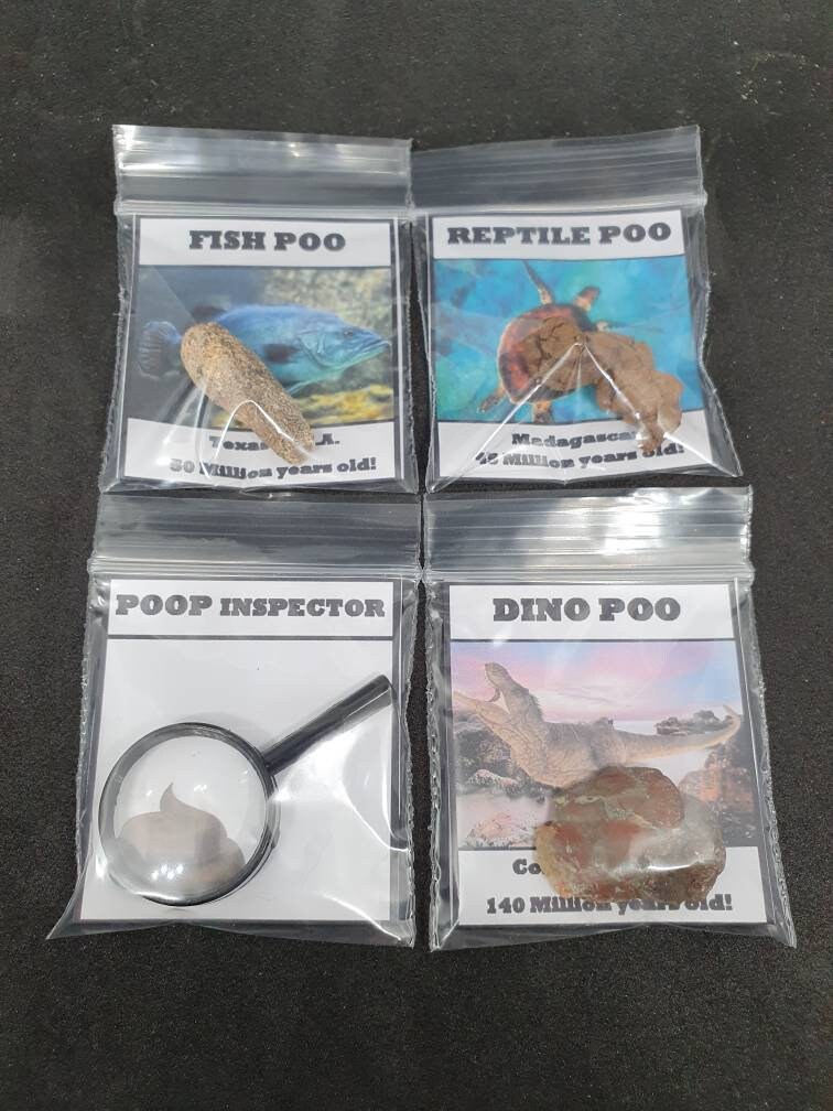 The Big Box Of Poo | Etsy