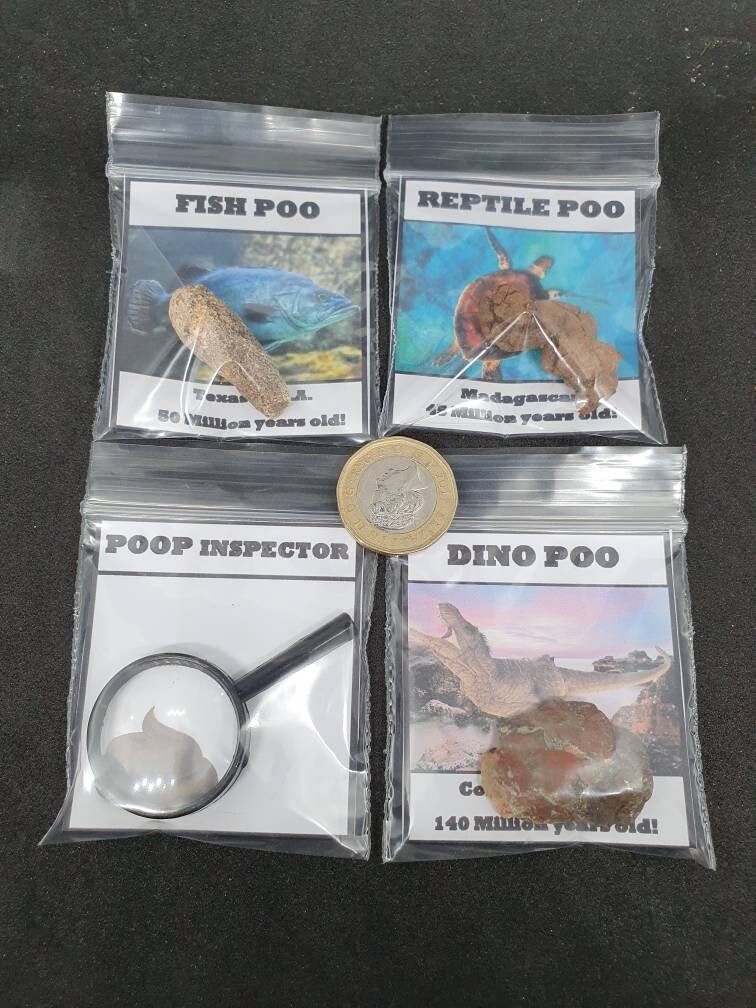 The Big Box Of Poo | Etsy