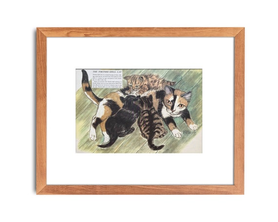 Vintage Original 1950s Tortoise Shell Cat Art Print By Gladys Etsy