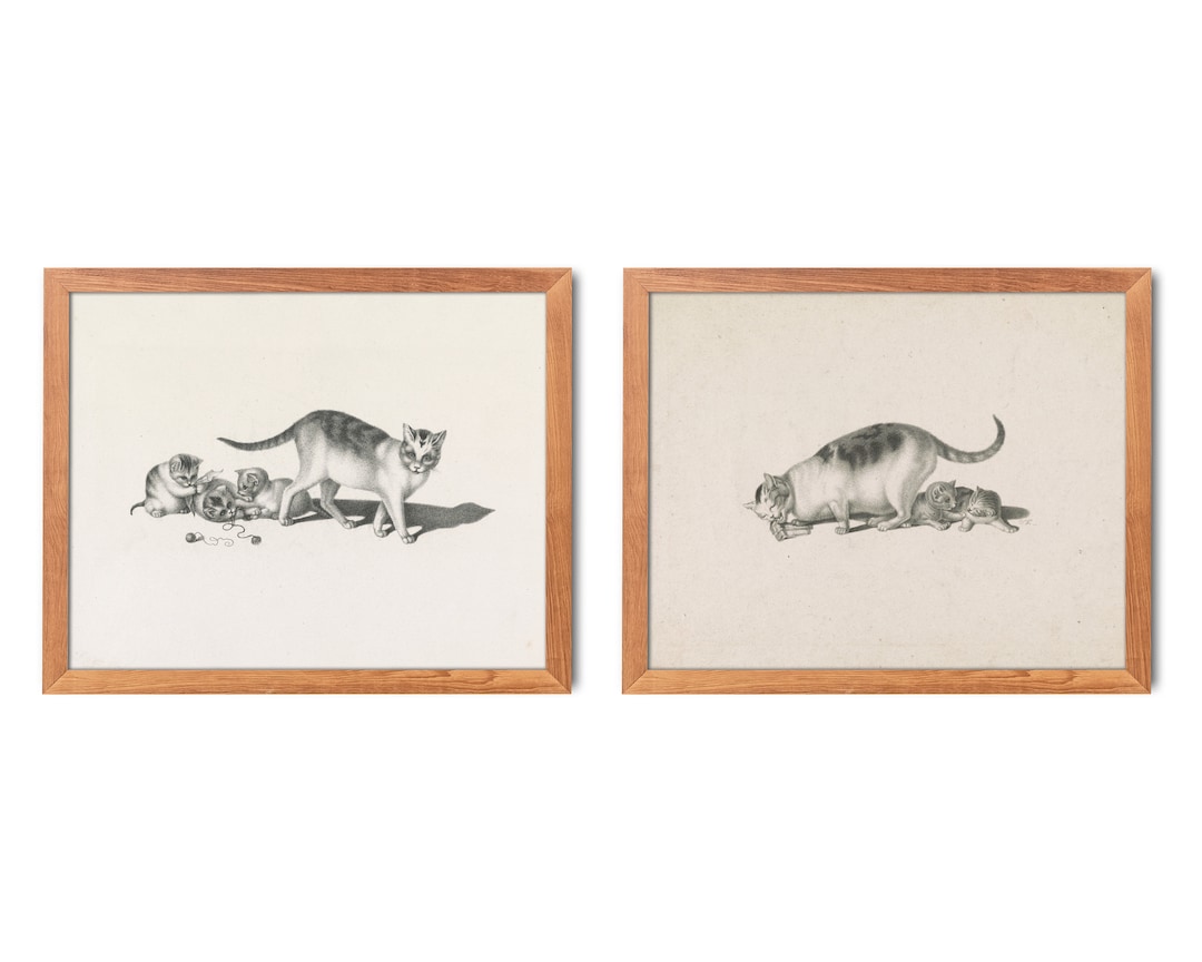 Vintage Cat & Kitten Lithograph Reproduction Set, 1860s Pencil Drawings ...