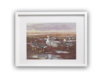 Vintage Painting Goose Art Pen and Ink Geese - Etsy