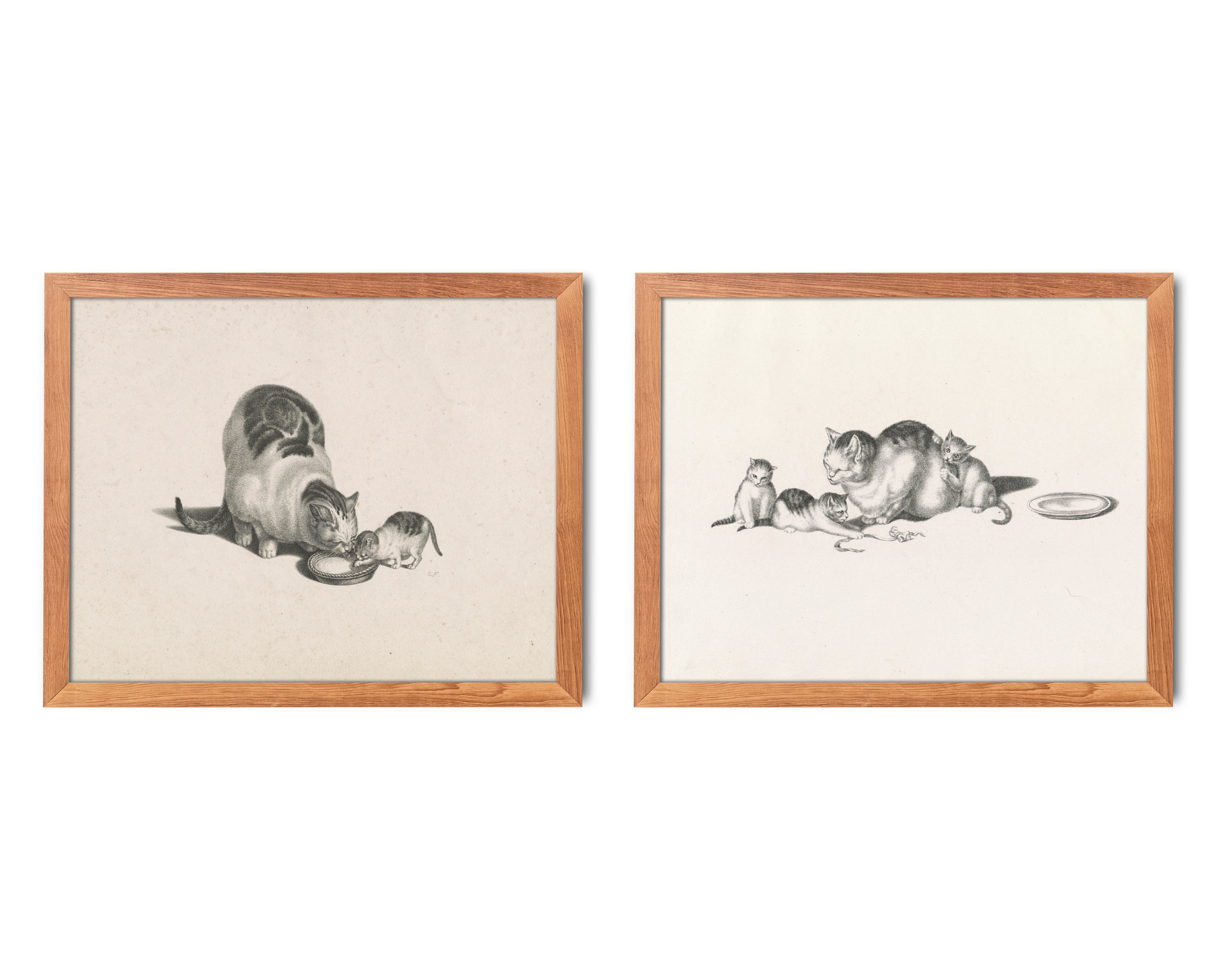 Vintage Cat & Kitten Lithograph Art Prints, Set of 2 - Etsy