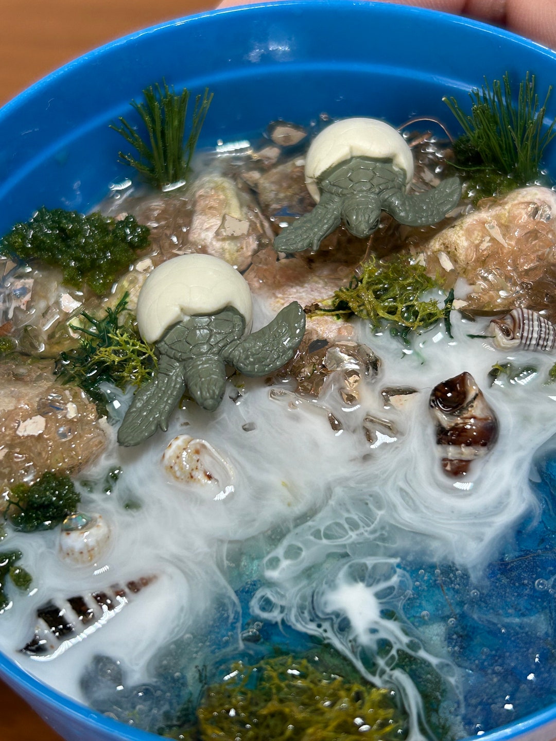 Miniature Baby Sea Turtle Desktop Diorama - Etsy