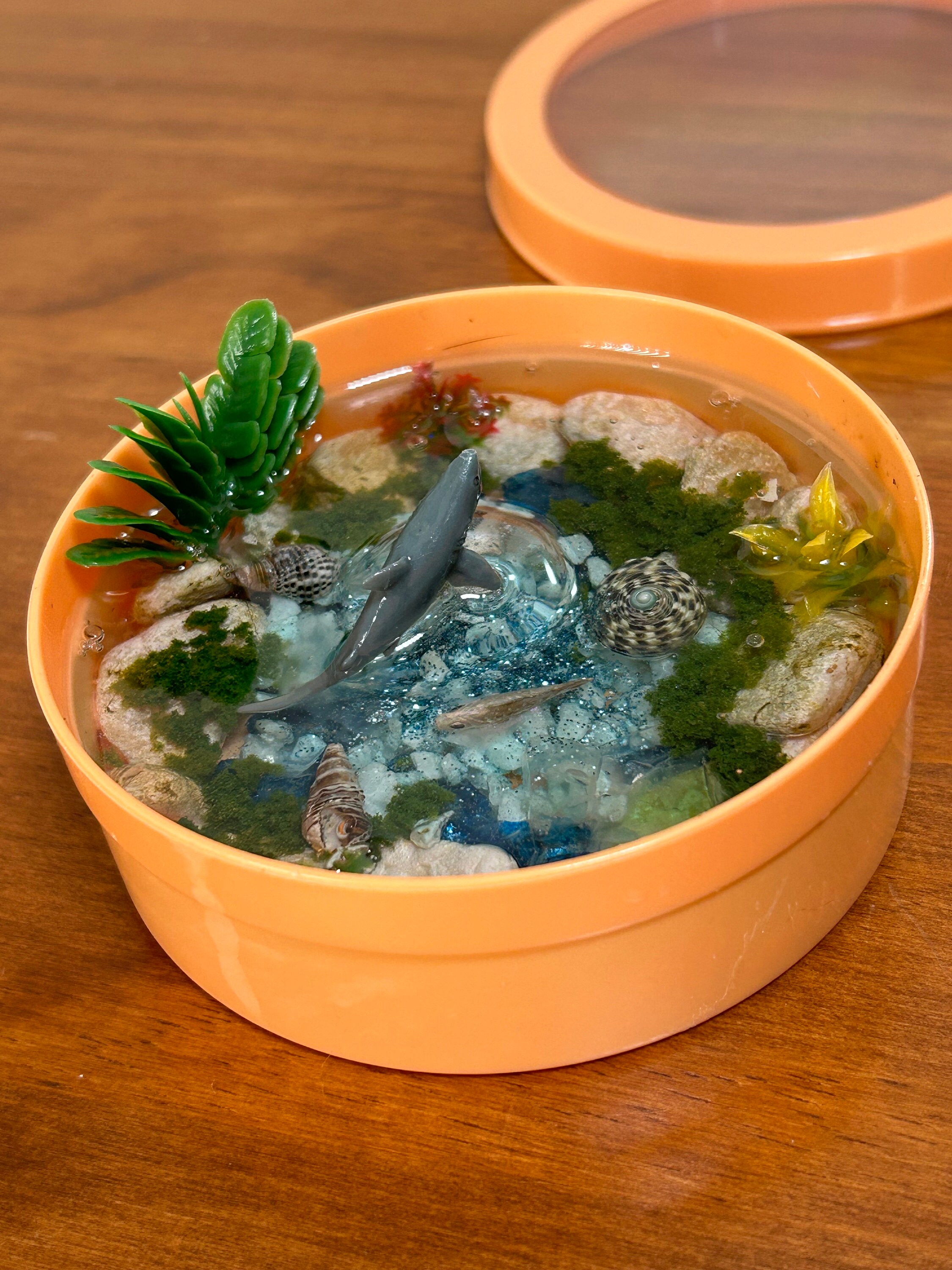Miniature Shark Desktop Diorama - Etsy