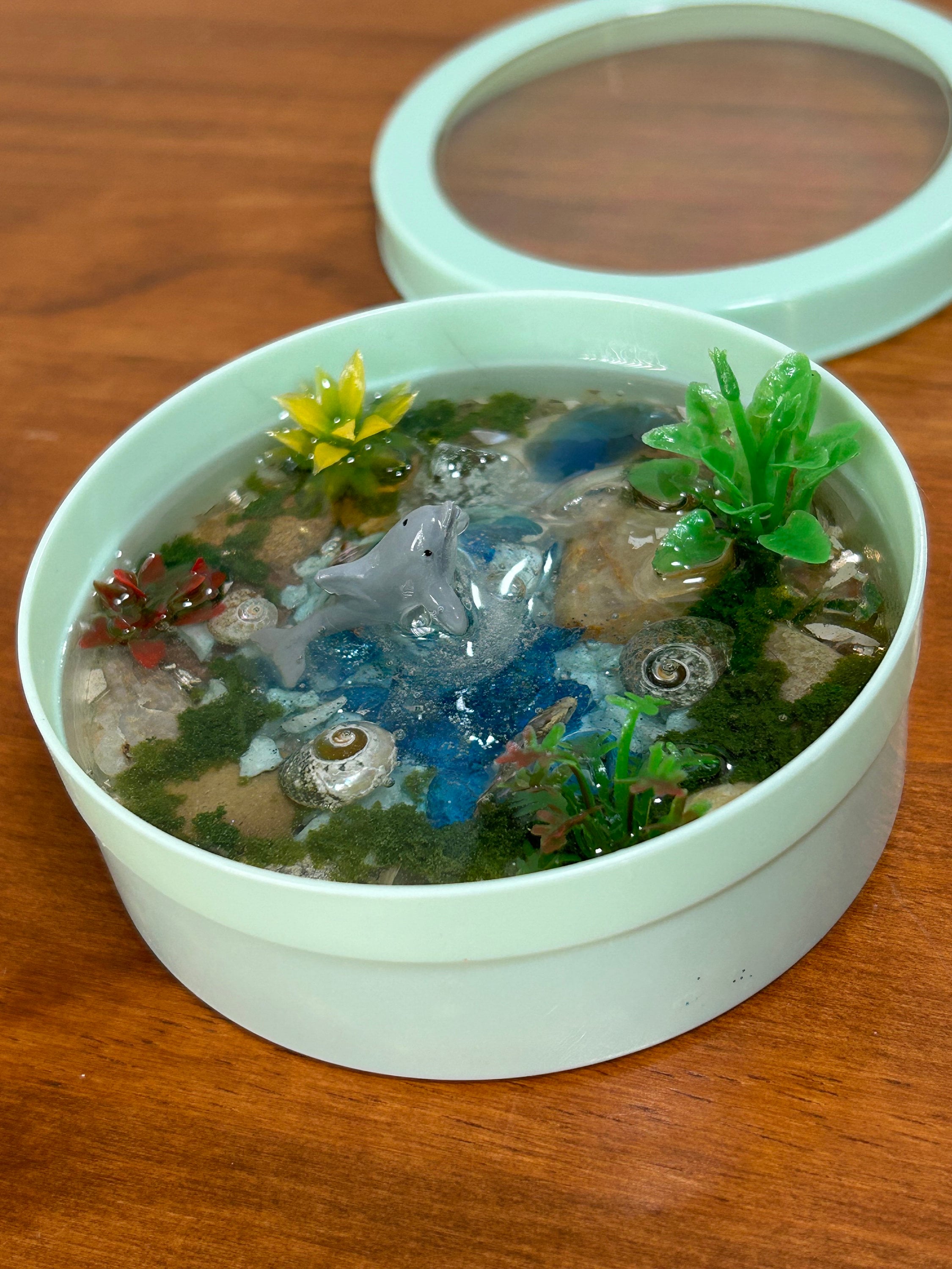 Miniature Dolphin Desktop Diorama - Etsy