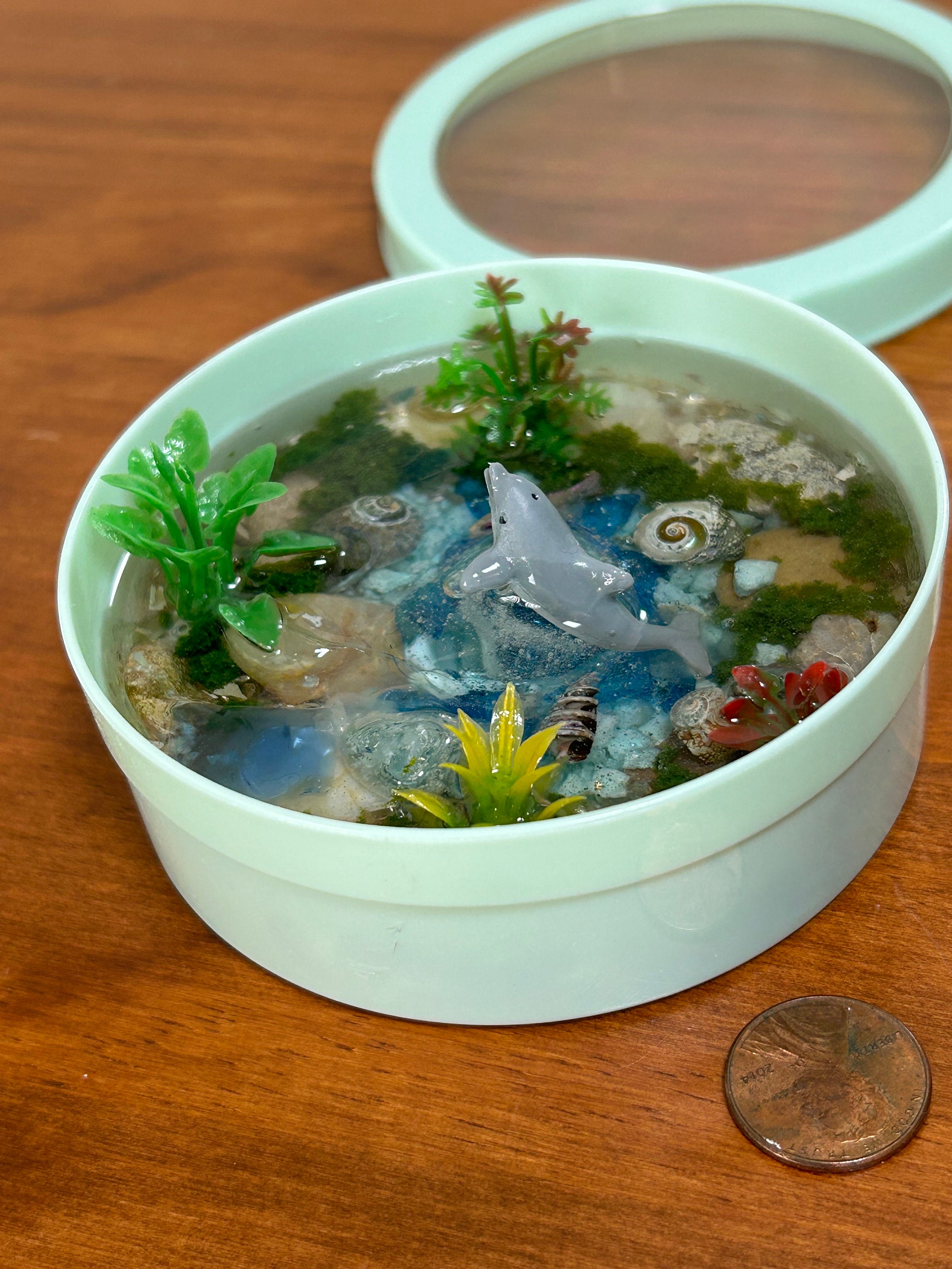 Miniature Dolphin Desktop Diorama - Etsy