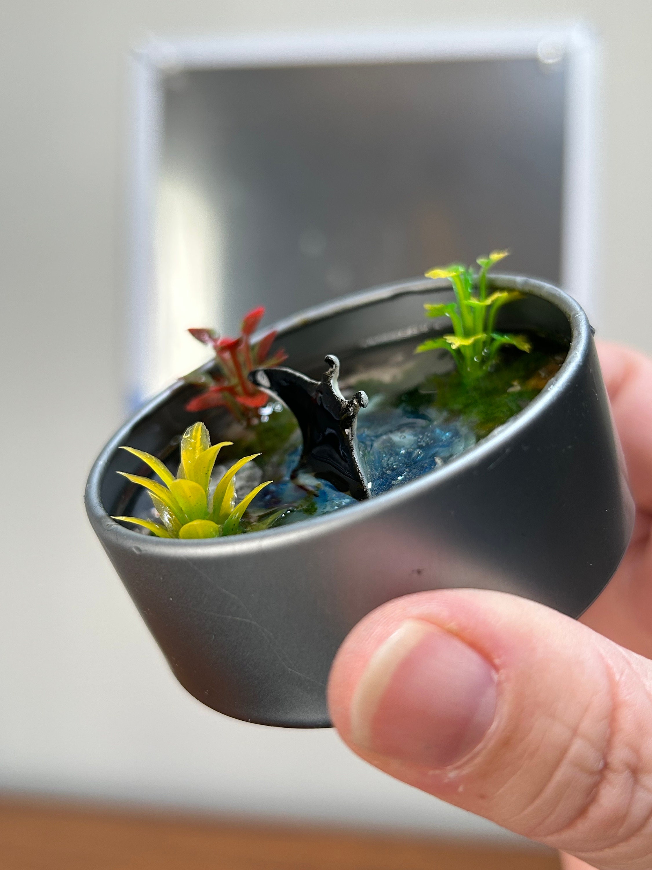 Miniature Sting Ray Desktop Diorama - Etsy