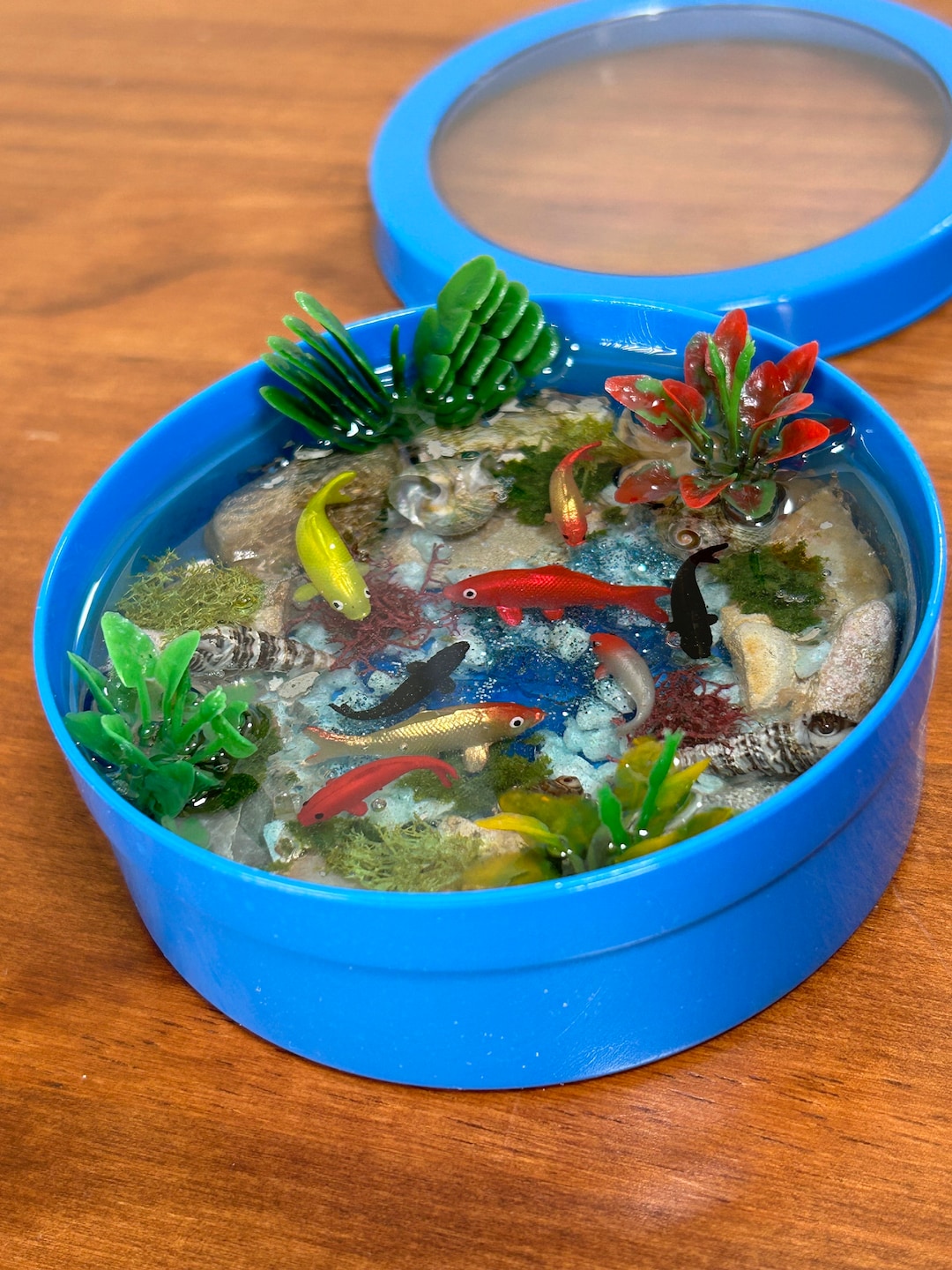 Miniature Koi Pond Desktop Diorama - Etsy