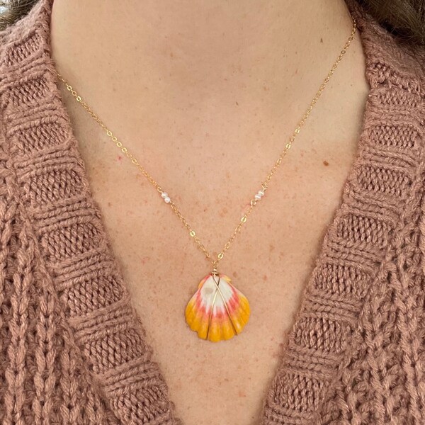 Sunrise Shell - Etsy