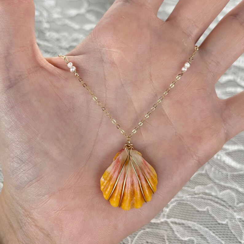 Rare Hawaiian Sunrise Shell Necklace Waterproof 14k Gold - Etsy