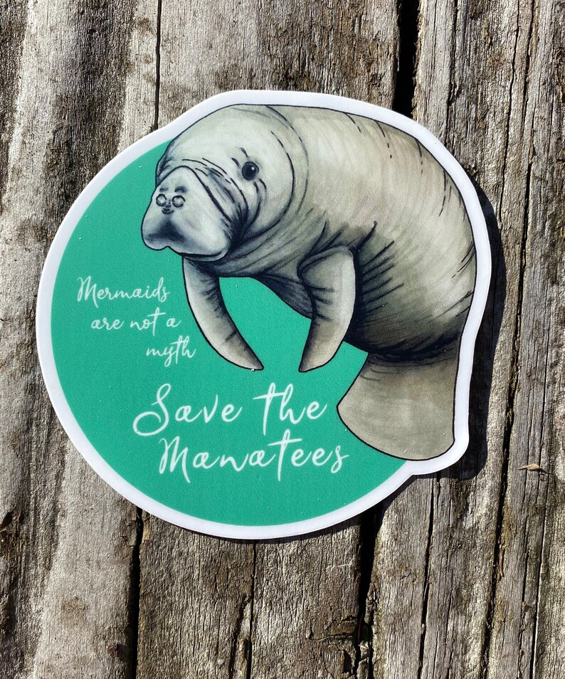 Save the Manatees Vinyl Sticker! Conservation Sticker, for Wildlife ...