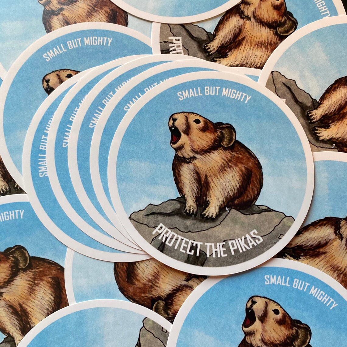 Protect the Pikas Vinyl Sticker! Conservation Sticker, for Wildlife ...