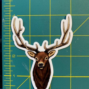 Elk Vinyl Sticker for Wildlife & Nature Lovers, Hiking, Camping ...
