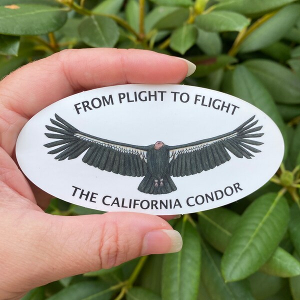 California Sticker - Etsy