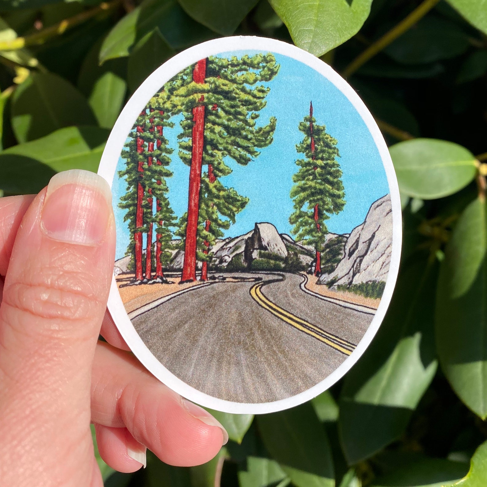Glacier Point Vinyl Sticker for Wildlife & Nature Lovers - Etsy