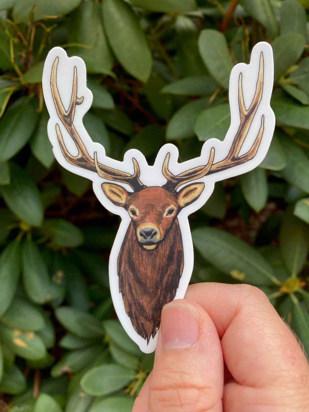 Elk Vinyl Sticker for Wildlife & Nature Lovers, Hiking, Camping ...