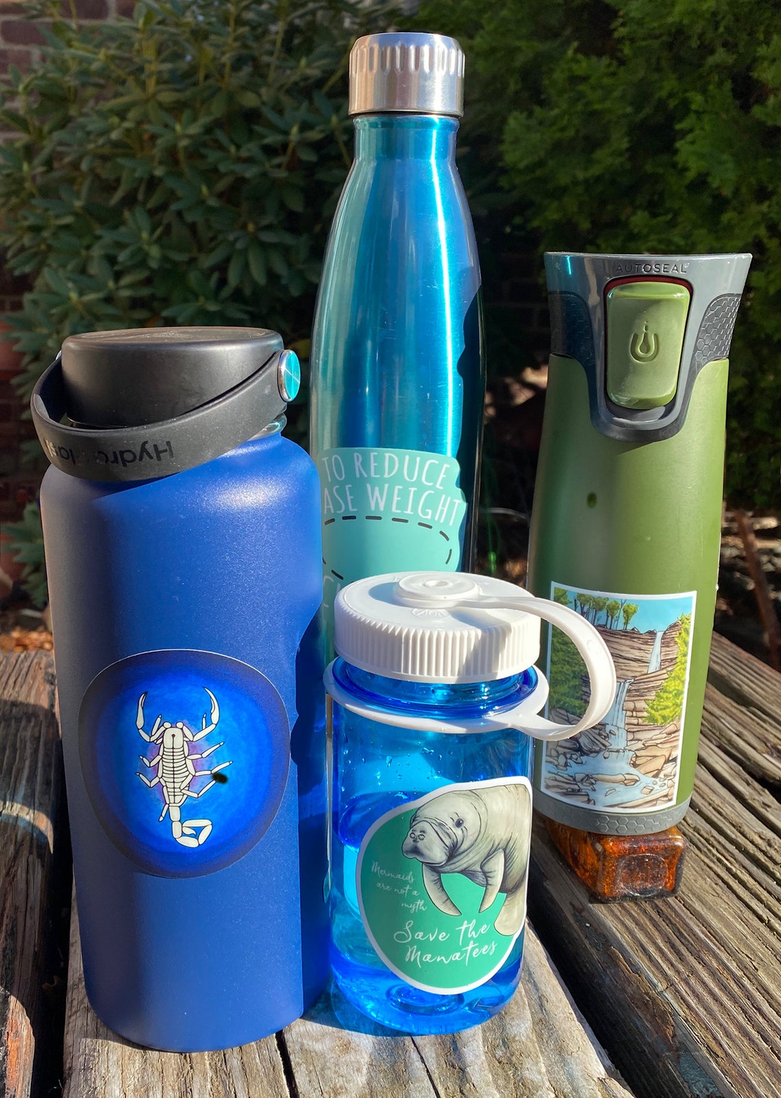 Save the Manatees Vinyl Sticker! Conservation Sticker, for Wildlife ...