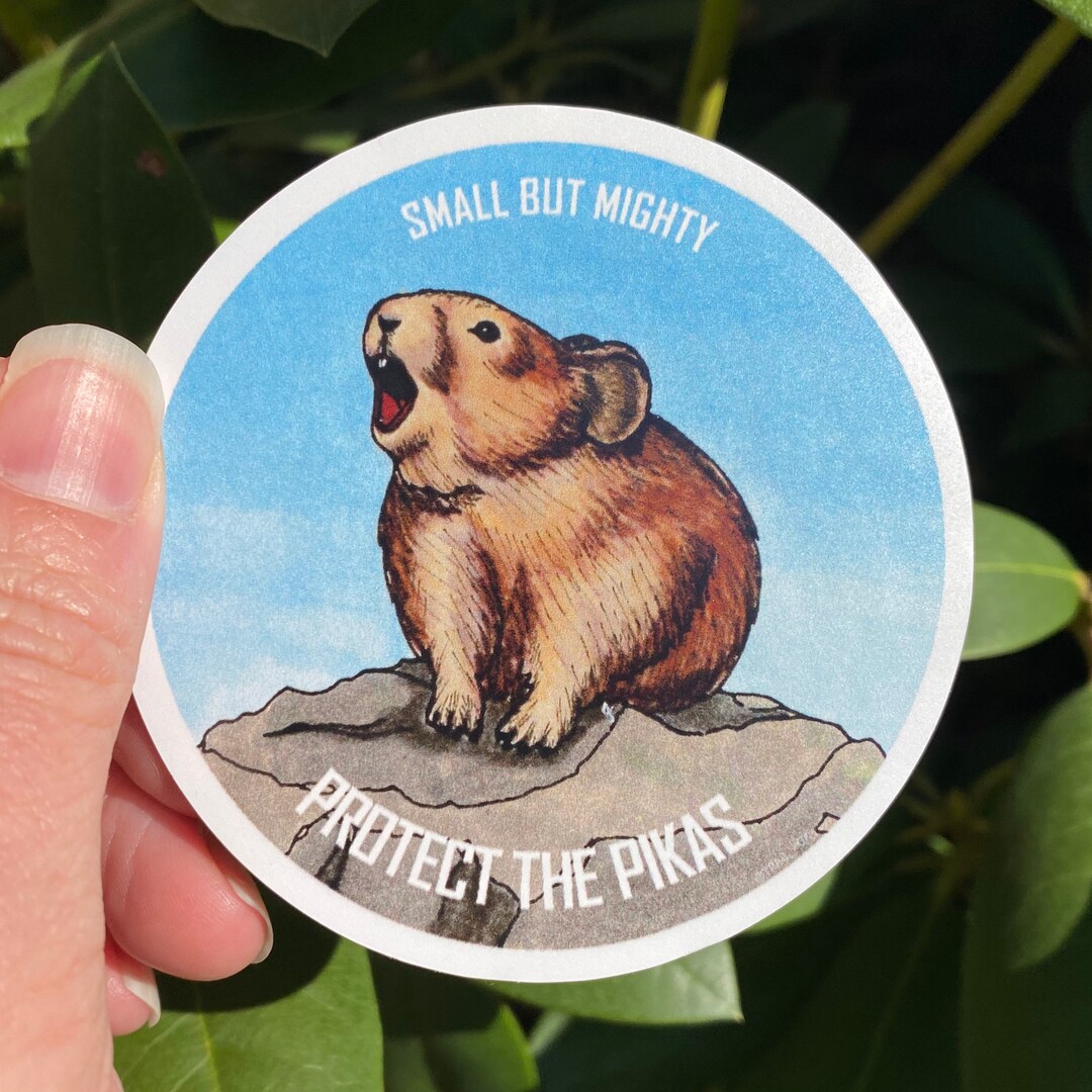 Protect the Pikas Vinyl Sticker! Conservation Sticker, for Wildlife ...