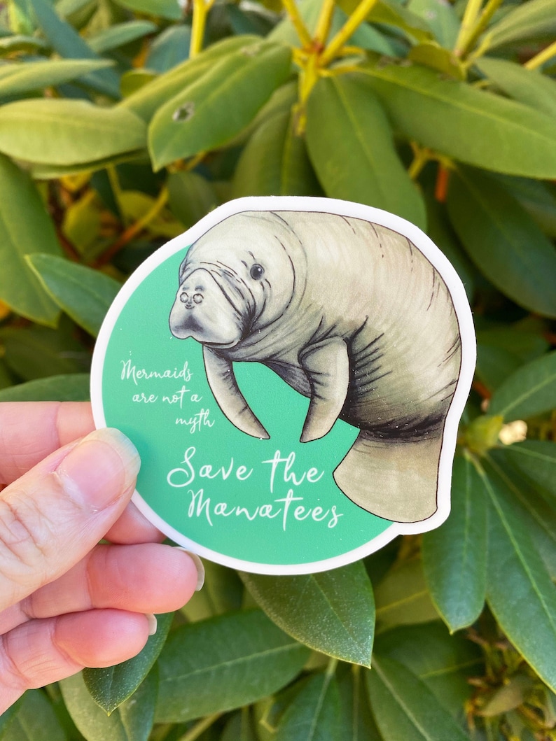 Save the Manatees Vinyl Sticker! Conservation Sticker, for Wildlife ...