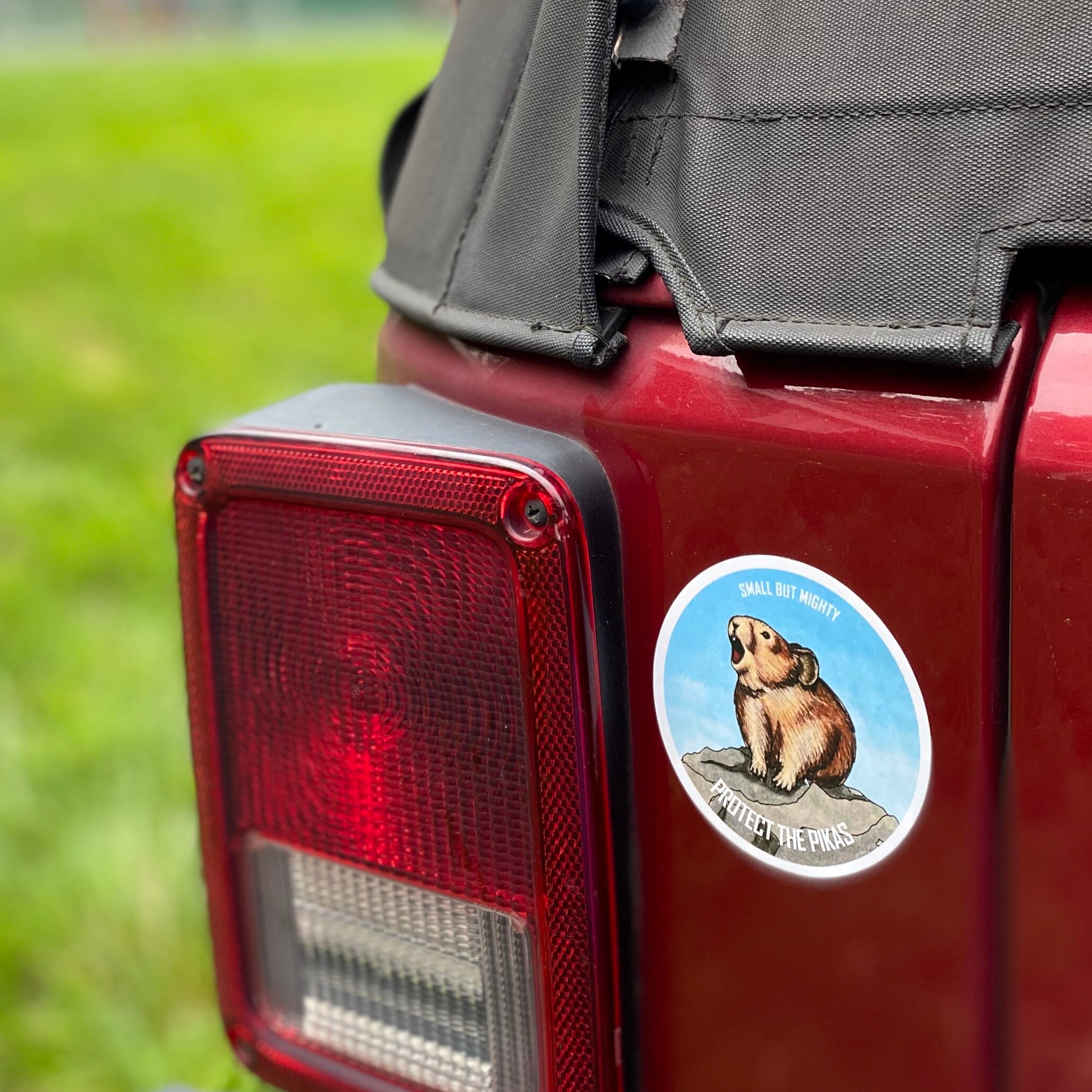 Protect the Pikas Vinyl Sticker! Conservation Sticker, for Wildlife ...
