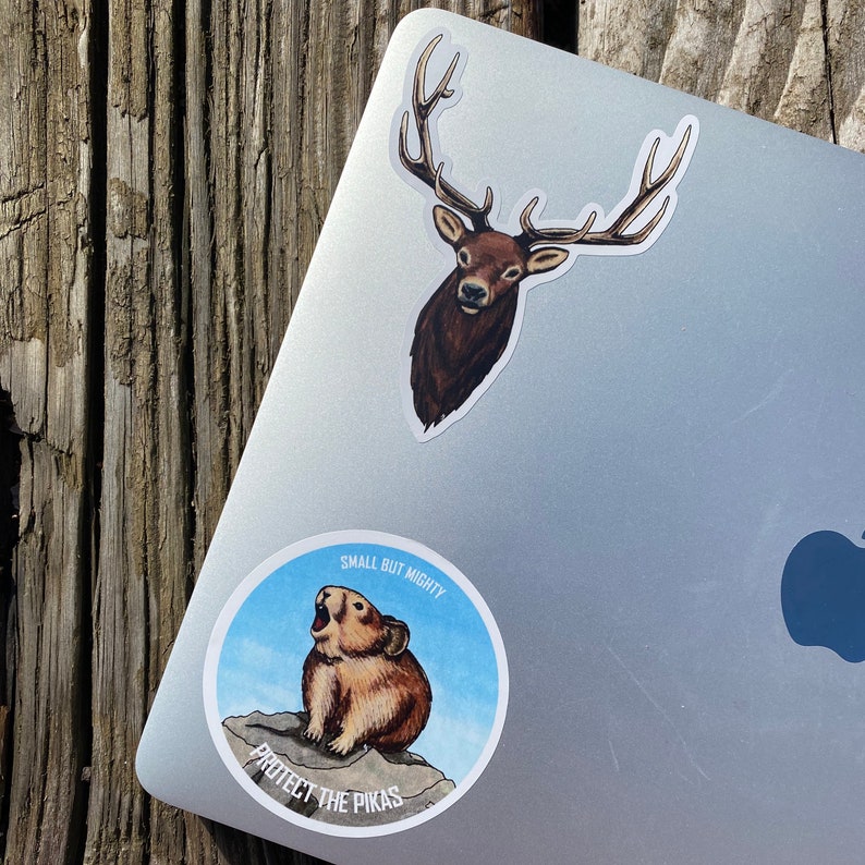 Ultralight Vinyl Sticker for Camping Hiking Backpacking in - Etsy