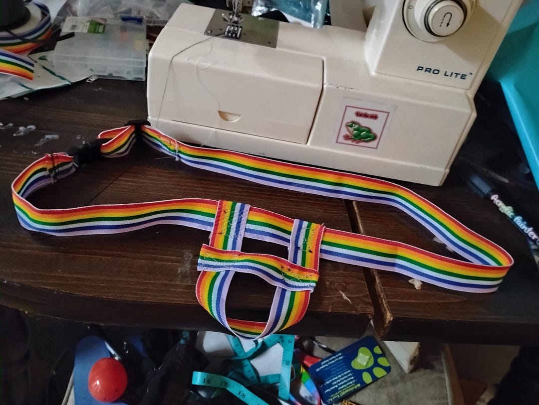 Rainbow FTM Packer Harness: Custom Fit Packing Support - Etsy