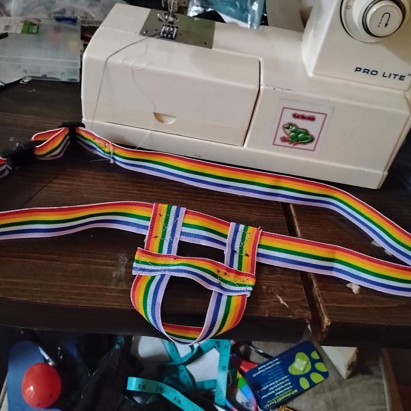 Transgender Pride Harness - Etsy