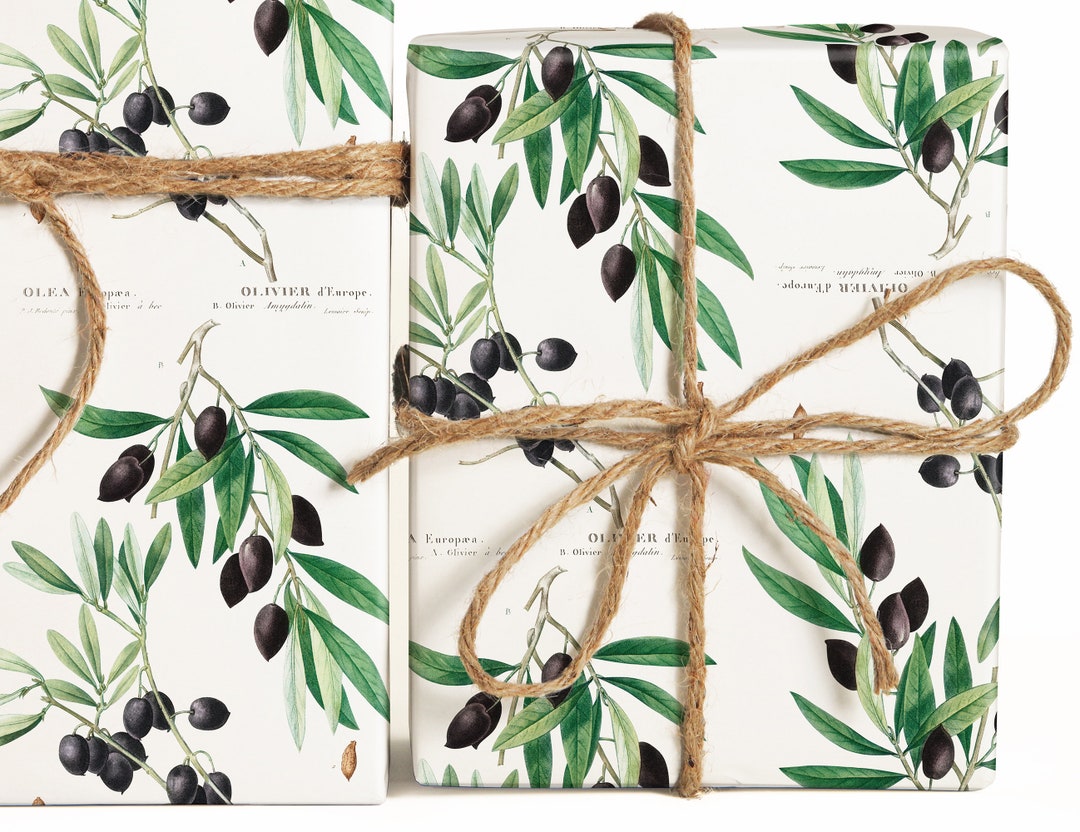 Olive Branch Pattern Wrapping Paper, Vintage Olive Illustration Gift ...