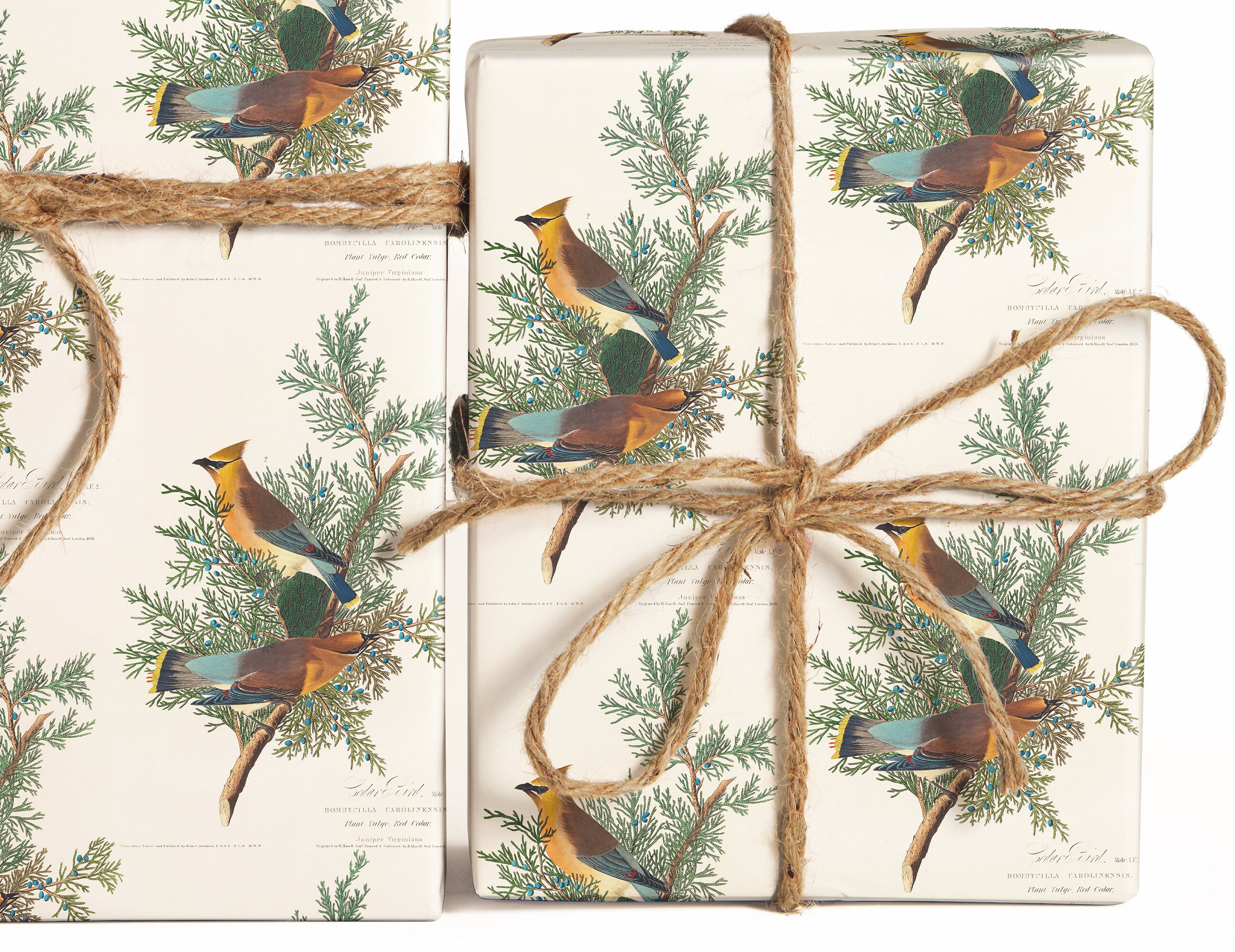 Cedar Bird Wrapping Paper Roll Vintage Cedar Bird Gift Wrap - Etsy