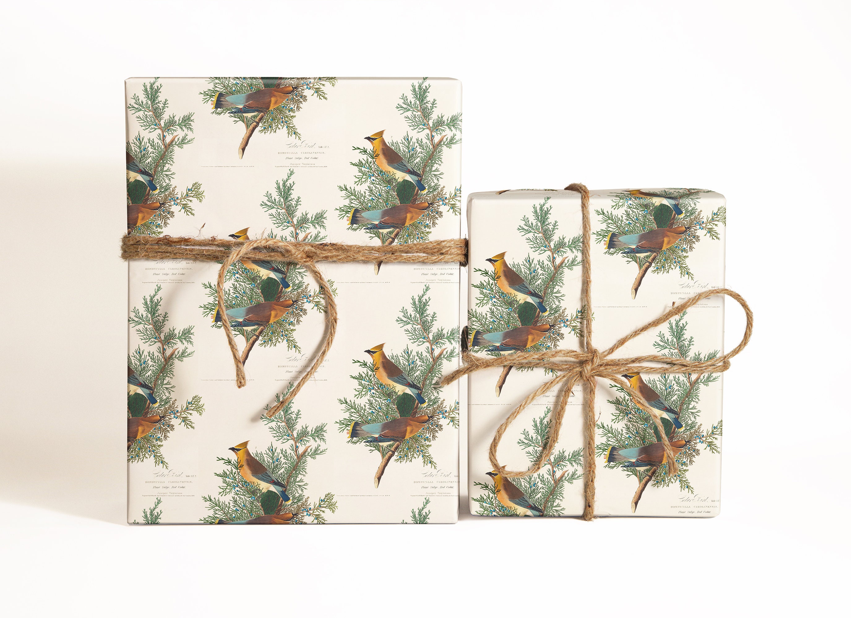 Cedar Bird Wrapping Paper Roll Vintage Cedar Bird Gift Wrap - Etsy