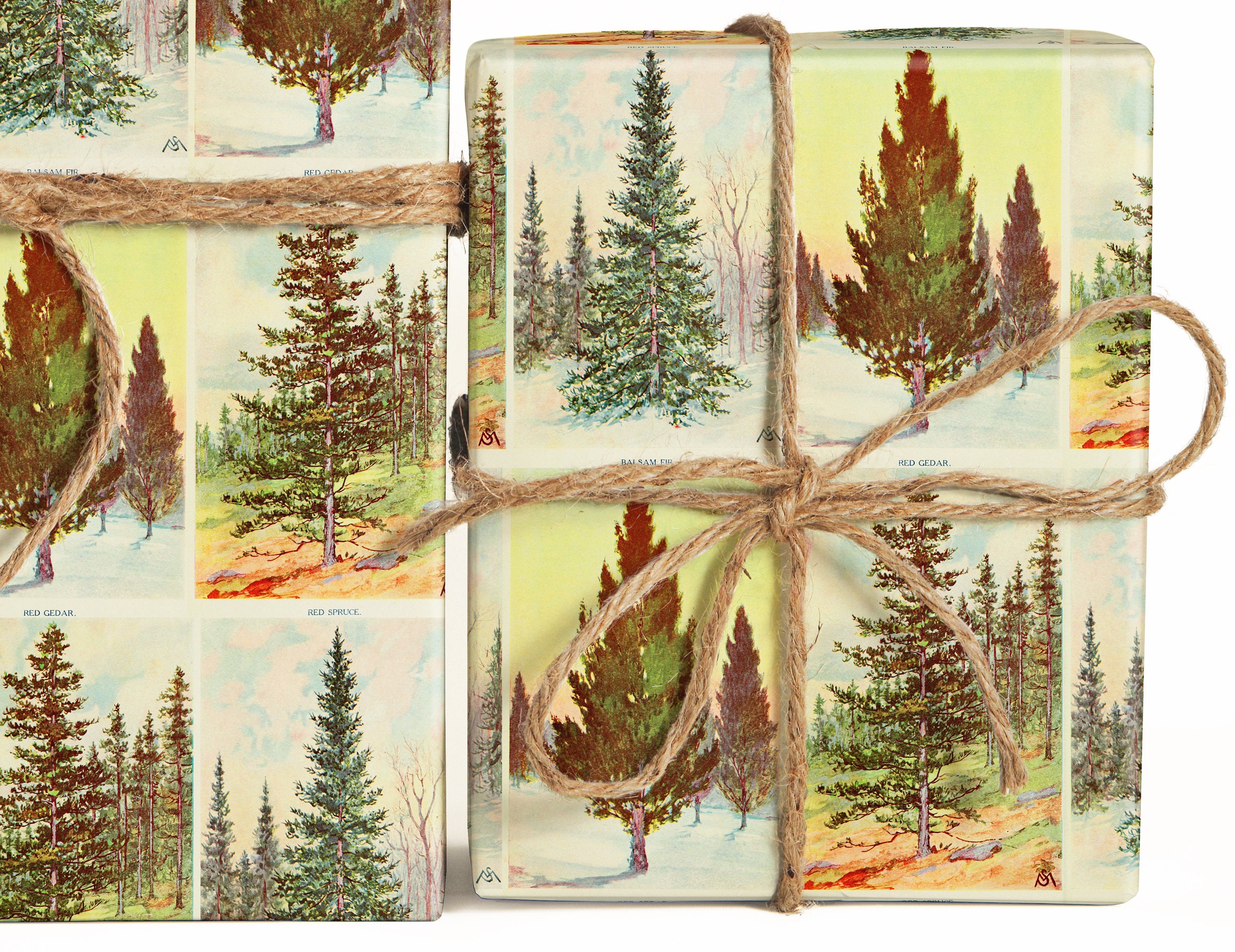 Vintage Pine Tree Wrapping Paper Roll, Vintage Tree Gift Wrap Sheets ...