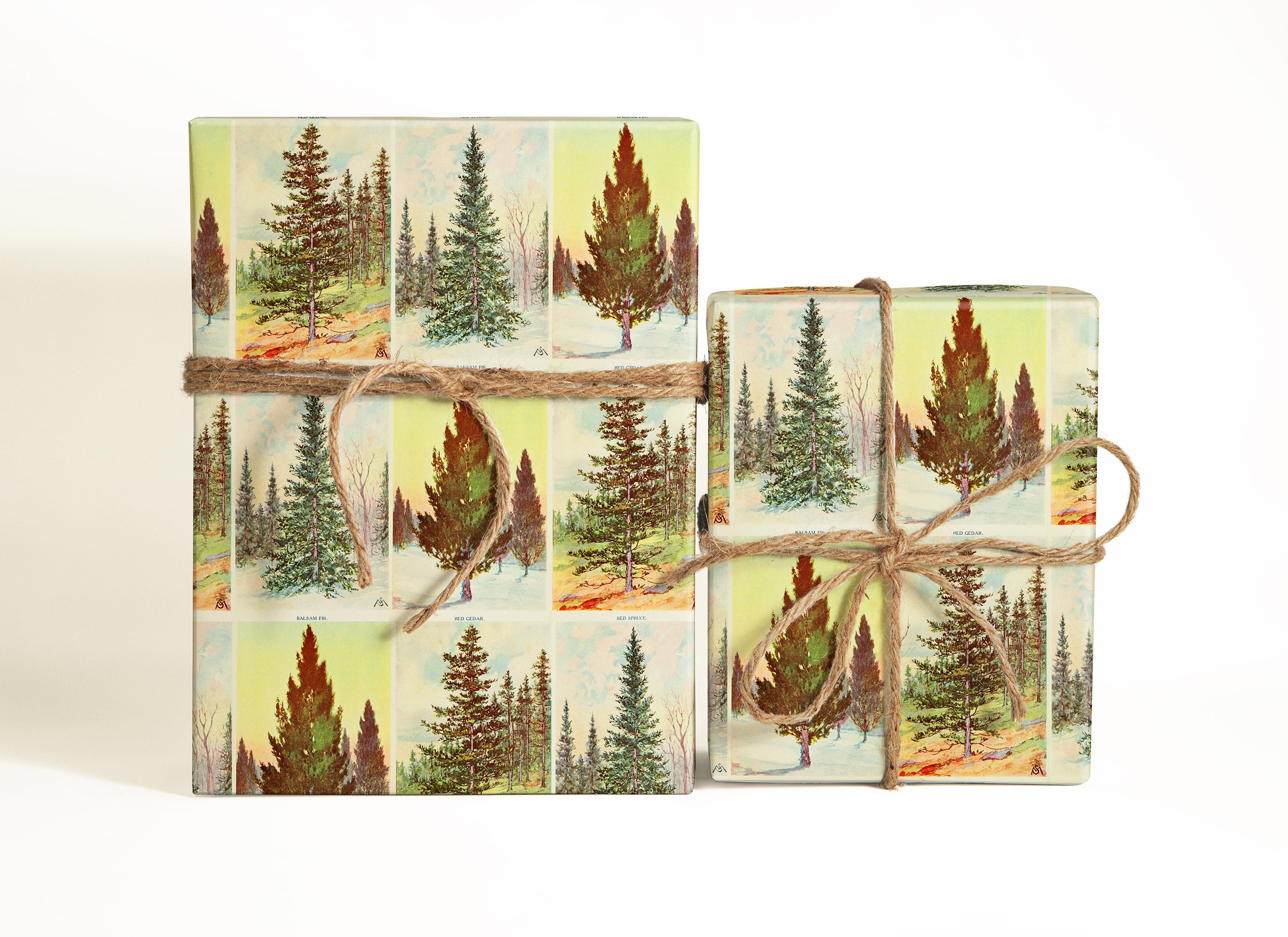 Vintage Pine Tree Wrapping Paper Roll, Vintage Tree Gift Wrap Sheets ...