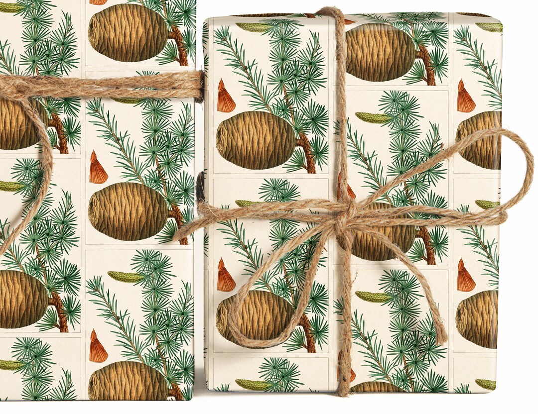 Cedar Pine Wrapping Paper Roll, Cedar Pine Cone Gift Wrap Sheets, Cedar ...
