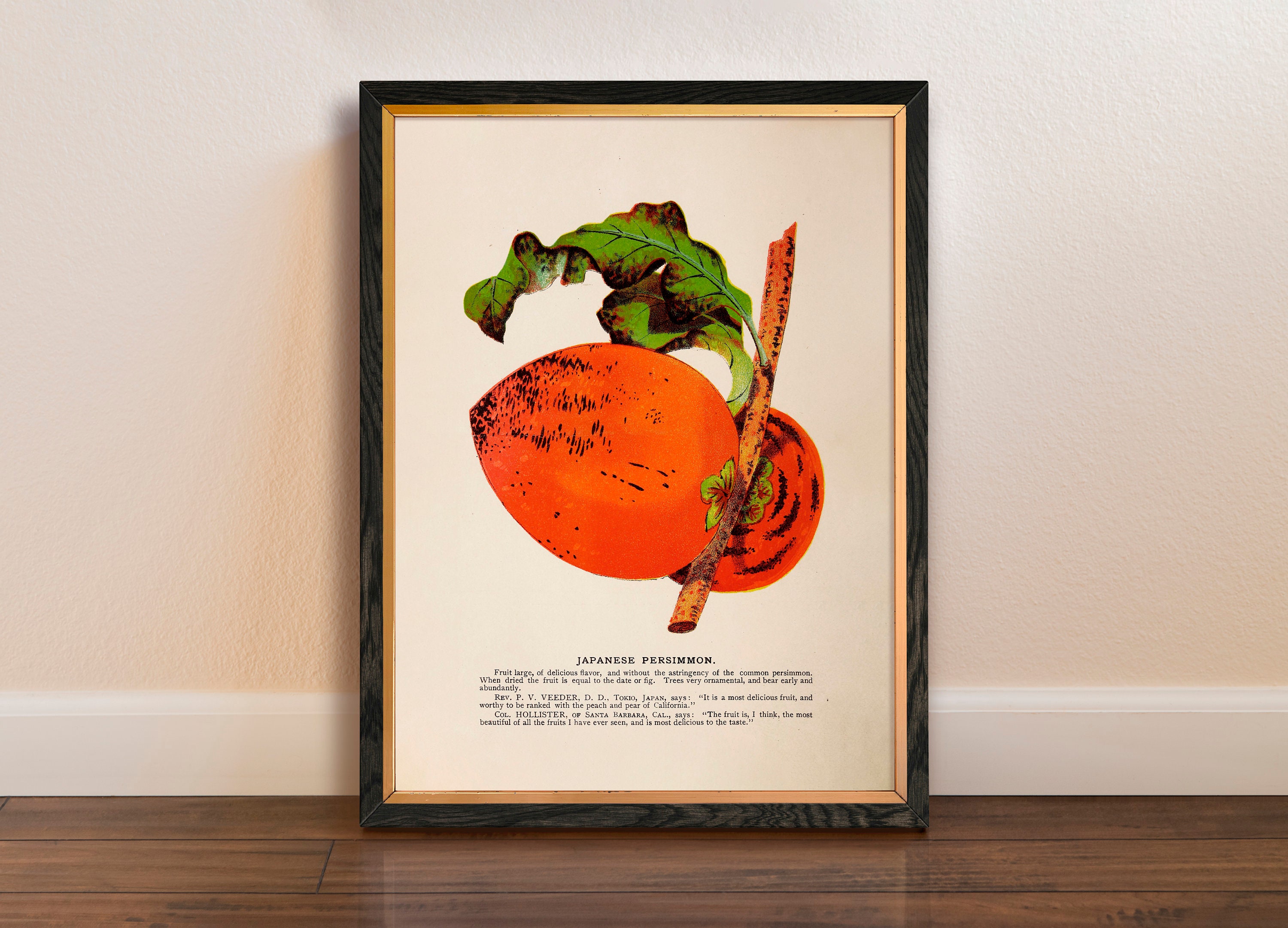 Japanese Permission Fruit Printed Wall Art, Vintage Fruit Art Print ...