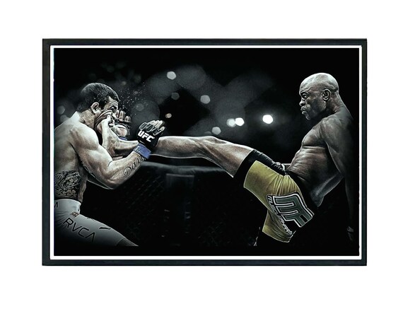 Anderson Silva Knockout Kick