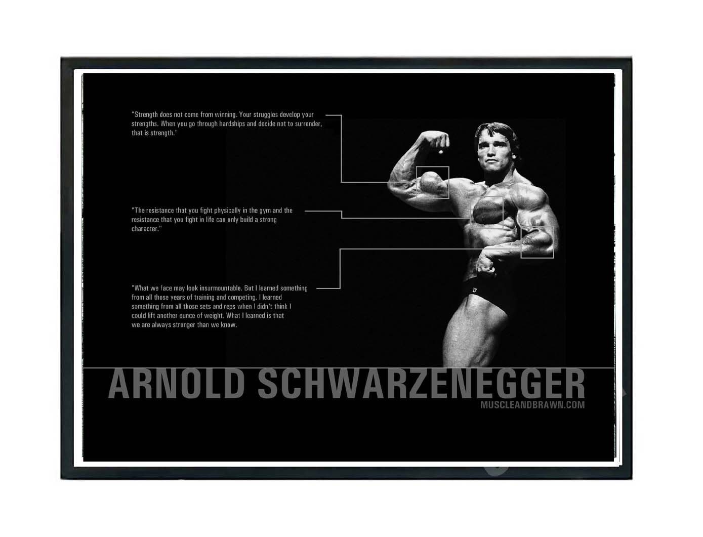 Arnold Schwarzenegger Motivational Poster