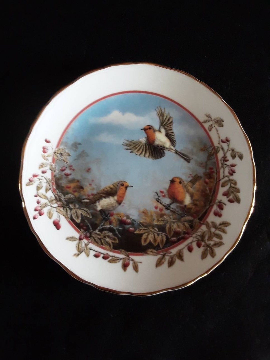 Robin Royal Doulton Collectible Plate 'A Delight of Robins' - Etsy