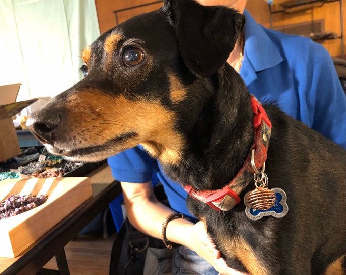 Crystal Carving Large Crystal Flying Piggy Large Flying Pig - Etsy