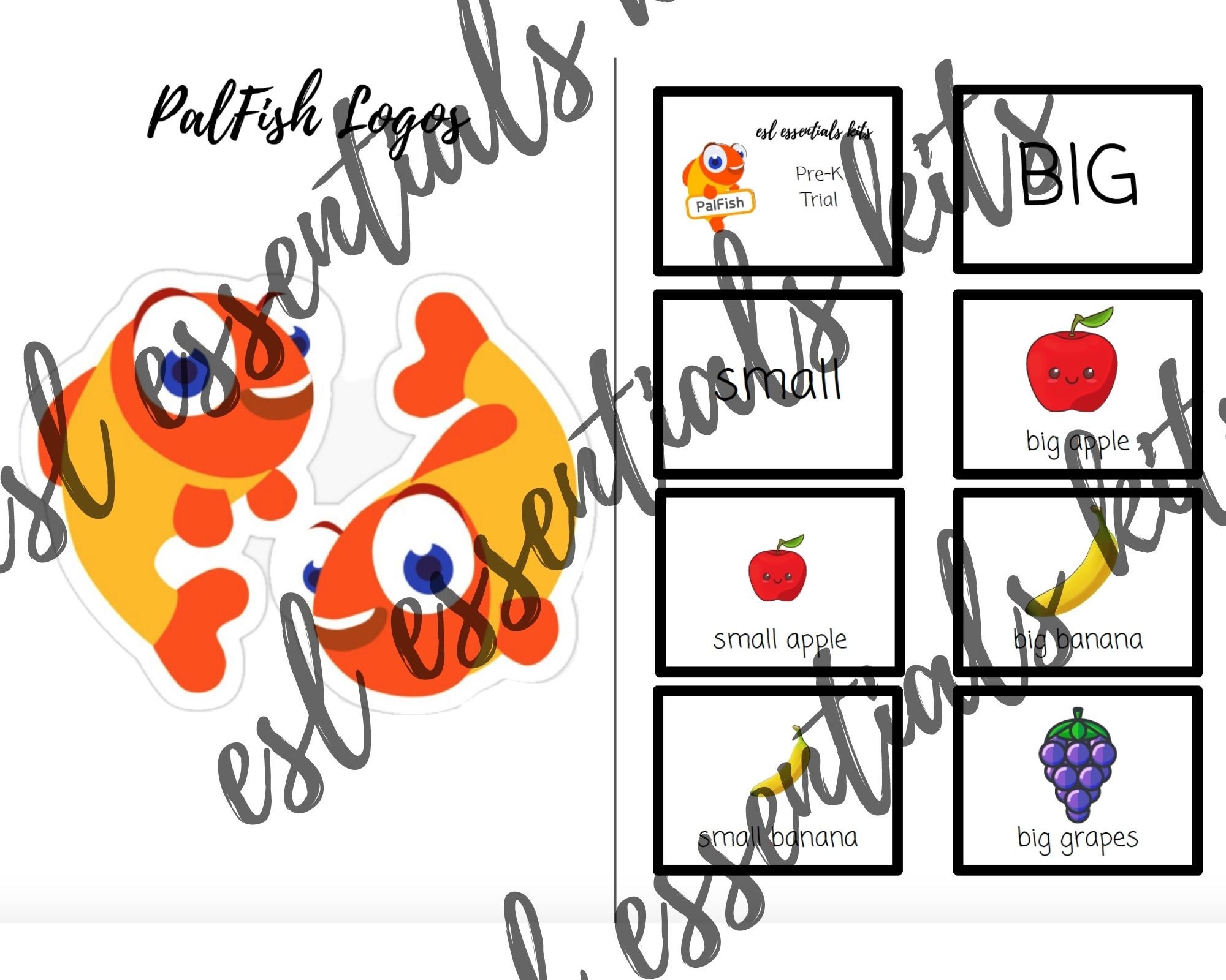 Palfish All Inclusive Kit Digital Download interview, Trials K, Pre K ...