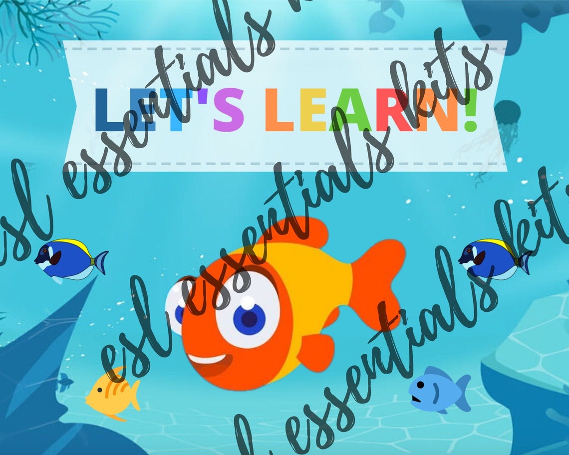 Palfish 4 in 1 Poster Kit Custom Posters to Decorate Your - Etsy