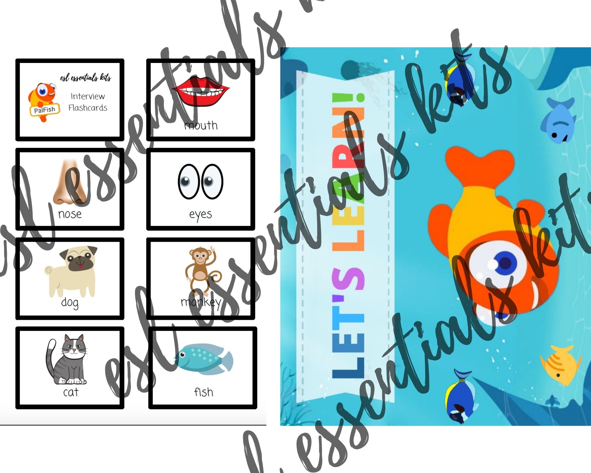 Palfish Interview Kit Digital Download: Flashcards, Character Props, 2 ...