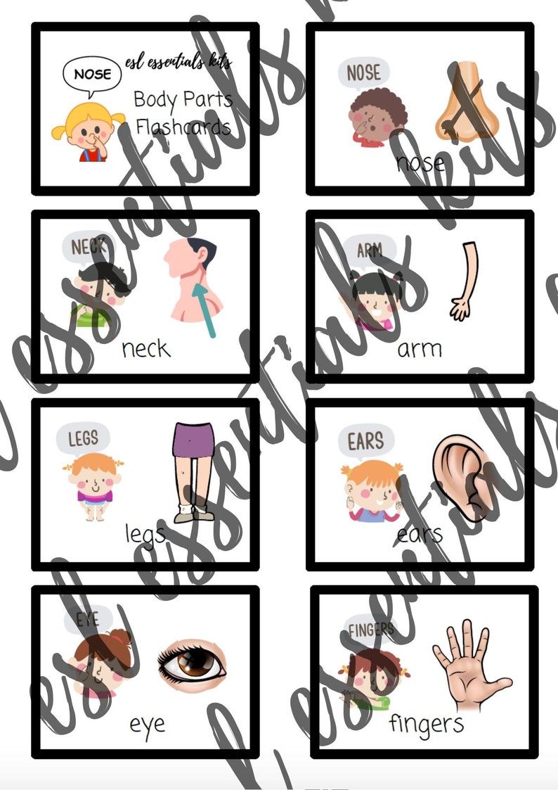 Body Parts Flashcards Digital Download Printable, English/esl Teachers ...