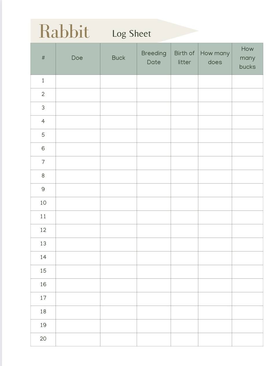 Rabbit Breeding Log Worksheet and More - Etsy