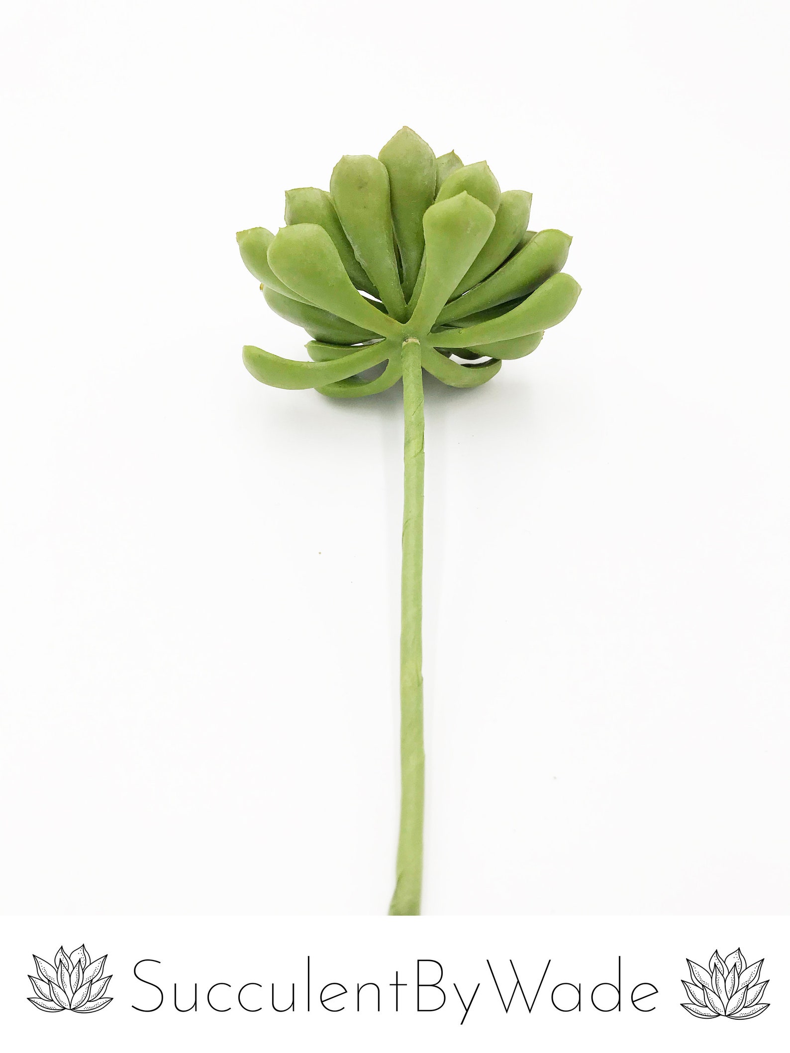 Faux Succulent Pick - Echeveria - Etsy
