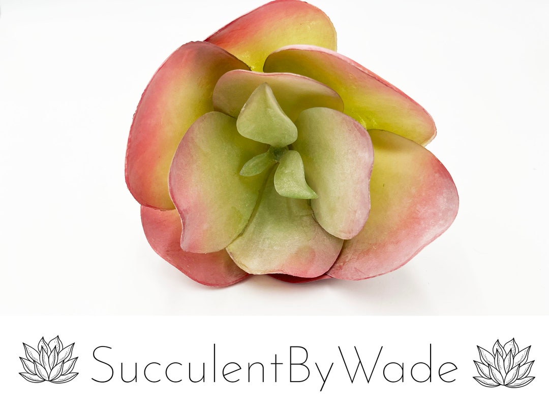 Extra Large Faux Succulent Pick - Echeveria - Etsy