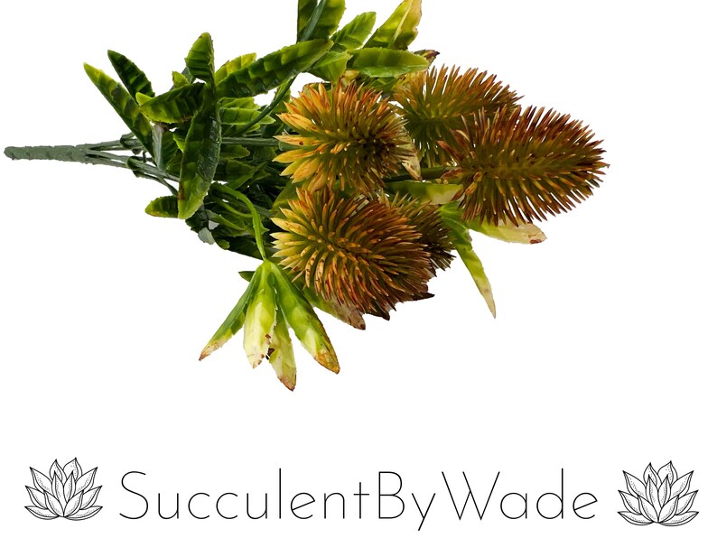 Faux Thistle Pick - Etsy