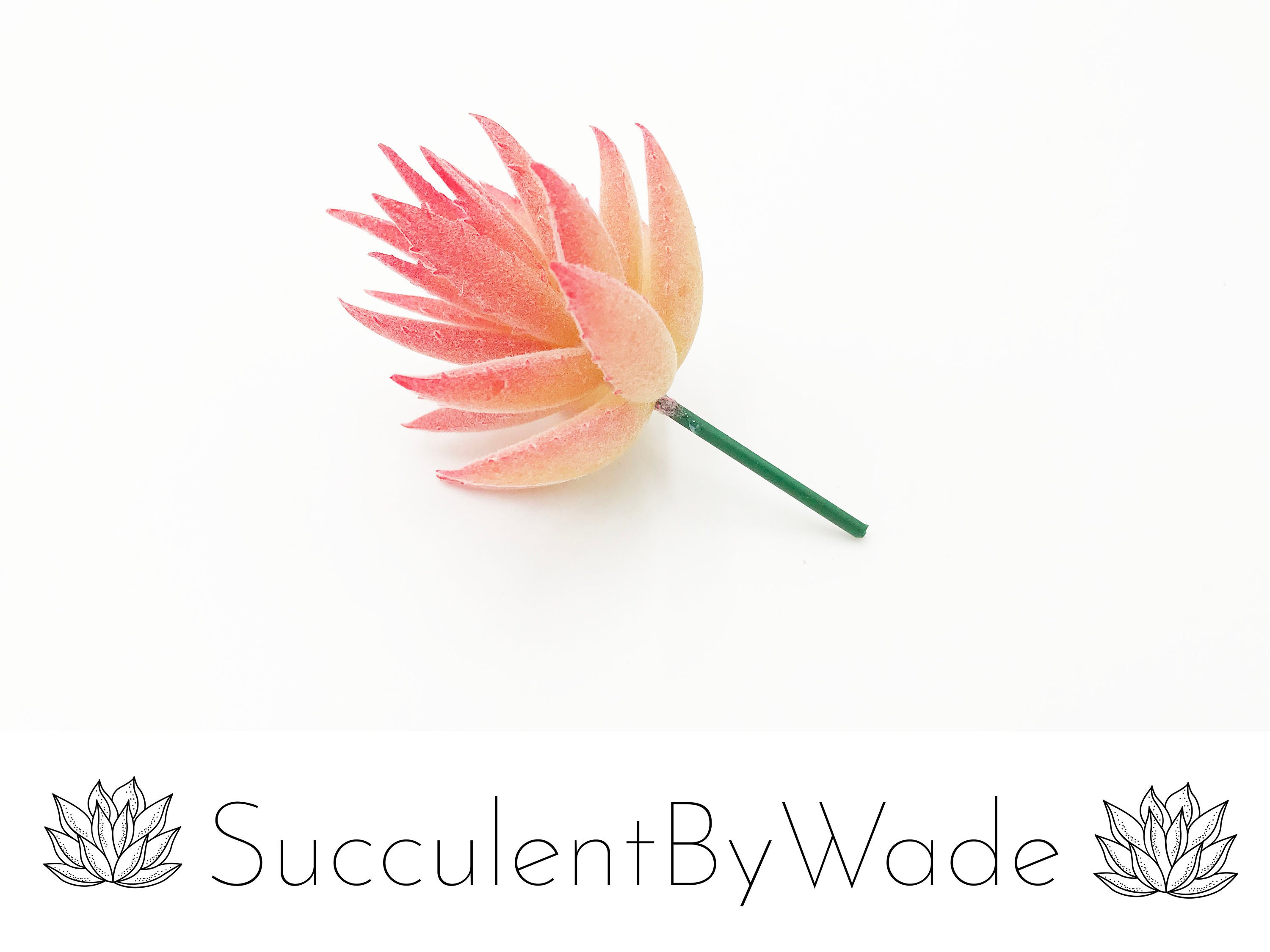 Faux Aloe Pick - Etsy